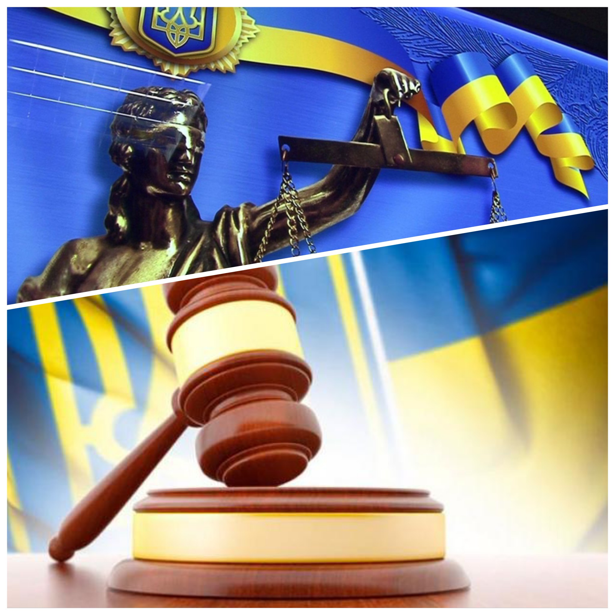 Жителя Малина засудили за державну зраду | Малин